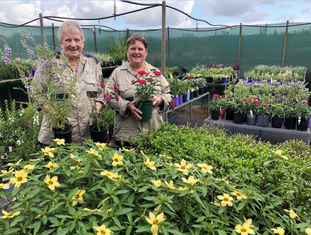 Nardoo Nursery blooms for Community Lifestyle Support – Bundaberg Now