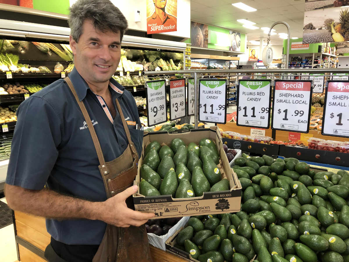 Avocado harvest begins in Bundaberg Region – Bundaberg Now