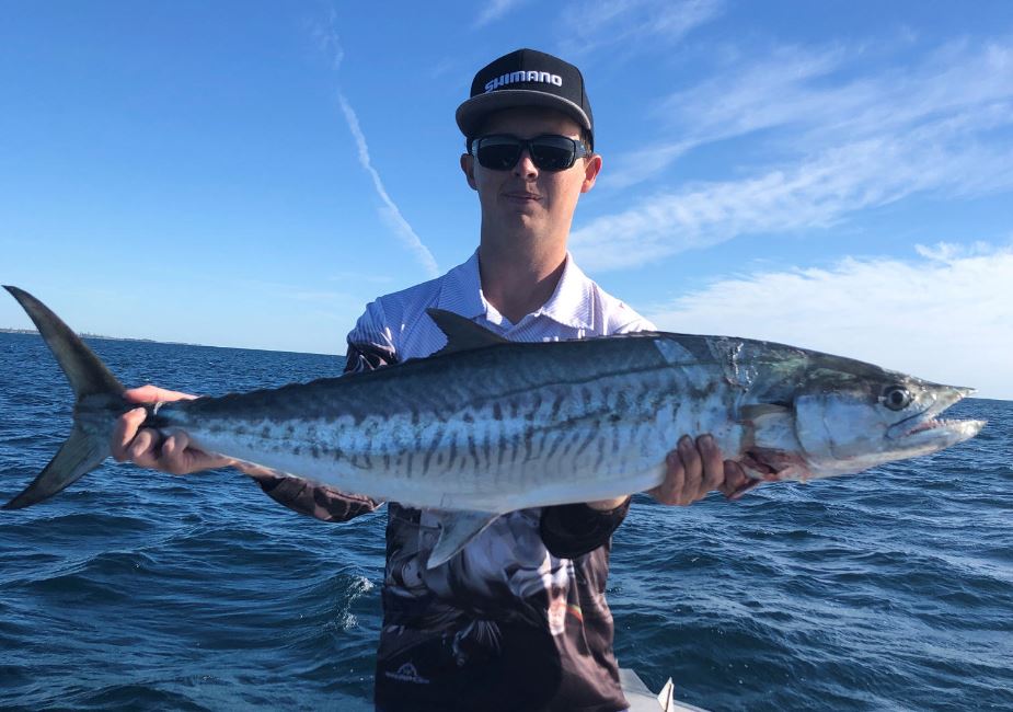 Big numbers of mackerel and tuna near Burnett Heads – Bundaberg Now