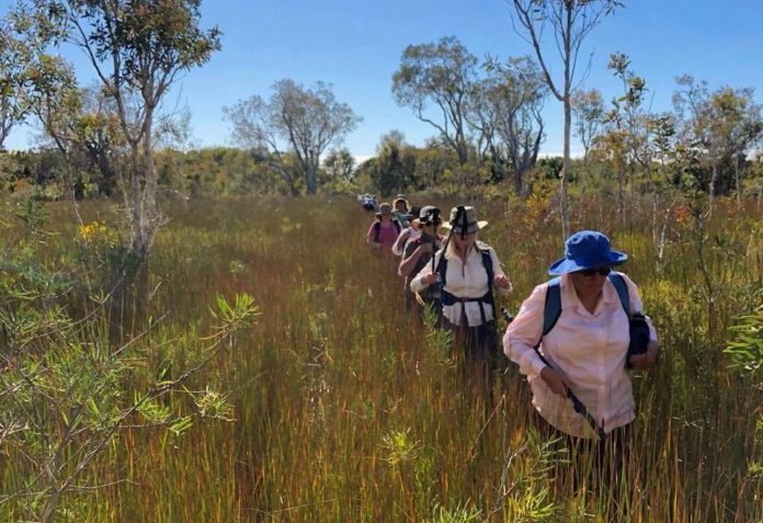 Bushwalking Club always looking for new members – Bundaberg Now