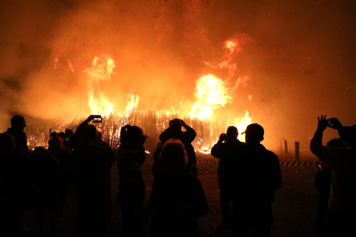 Cane Fire Tour packed full of action – Bundaberg Now