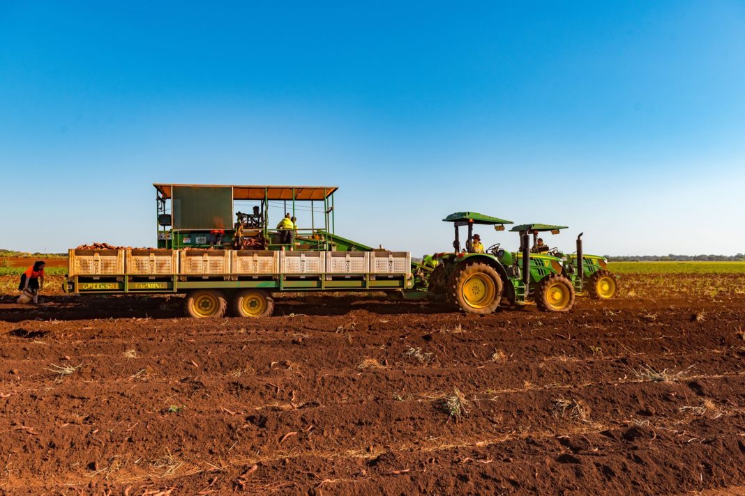 Greensill farm shed expansion proposed – Bundaberg Now