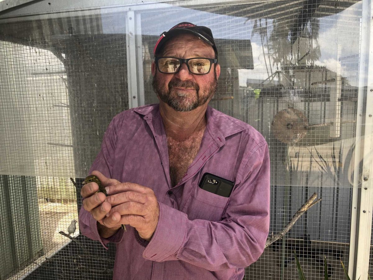 Kevin's canaries bring out a passion for life – Bundaberg Now