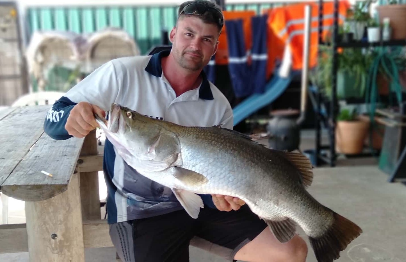 Bull sharks and barra on the bite – Bundaberg Now