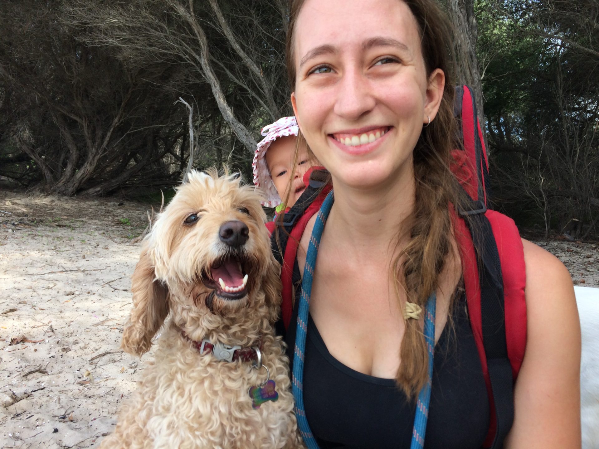 Sydney family start dog-walking business in Bundy – Bundaberg Now
