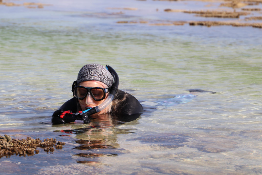 Research to protect Lady Elliot from climate change – Bundaberg Now