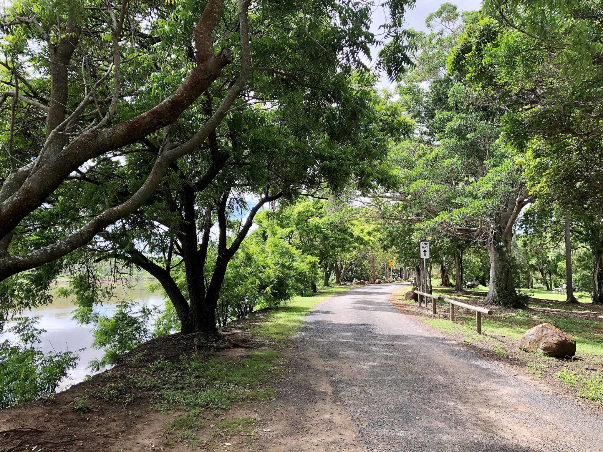 100 native trees to be planted in Queens Park – Bundaberg Now
