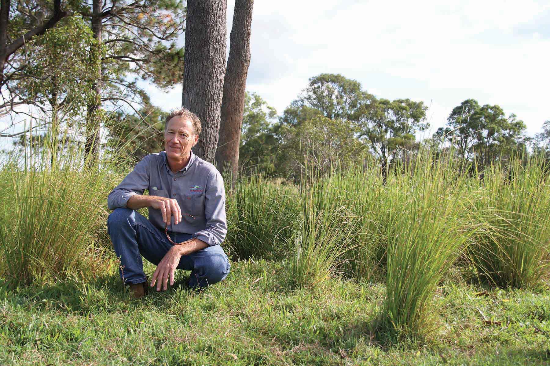 Rain welcome but ignites pest plants across the region – Bundaberg Now