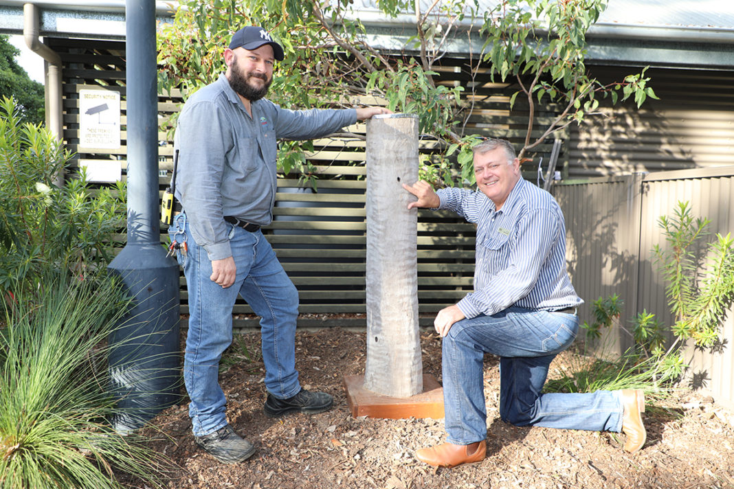 You better bee-lieve it: zoo welcomes 5000 new animals – Bundaberg Now