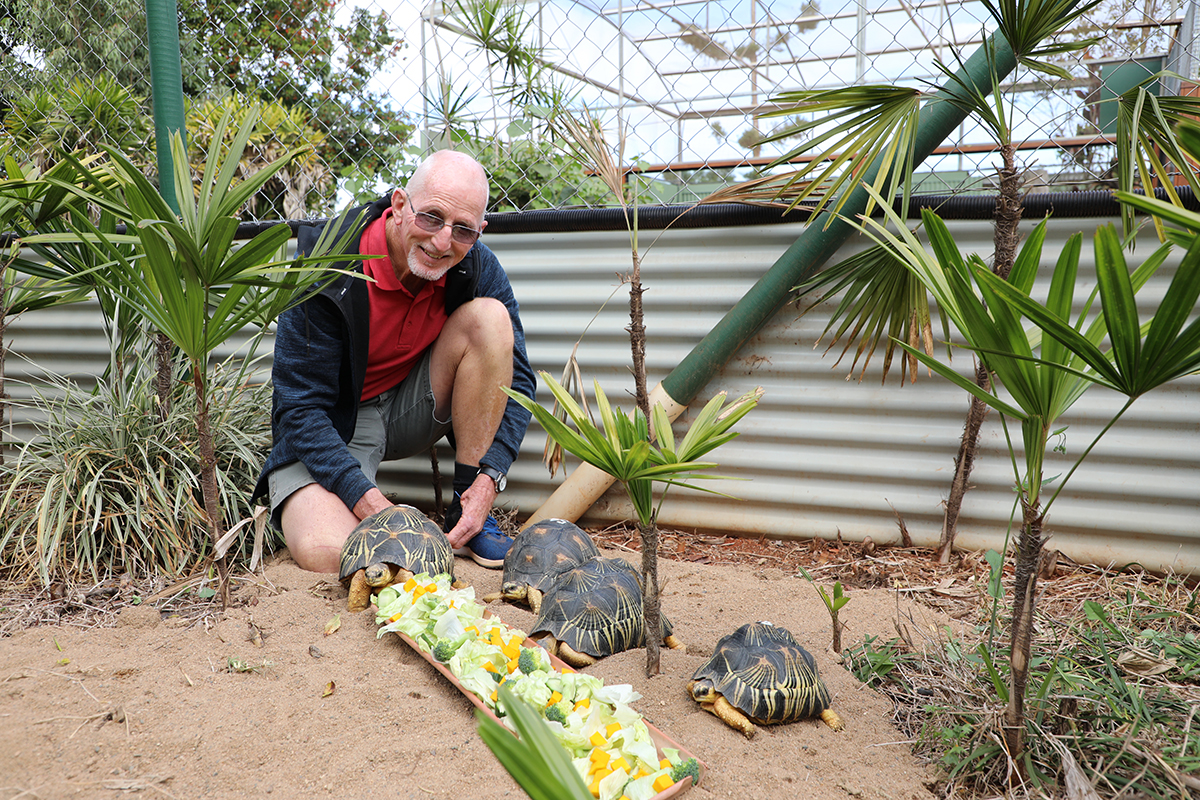 New attraction arrives for Snakes Downunder reopening – Bundaberg Now