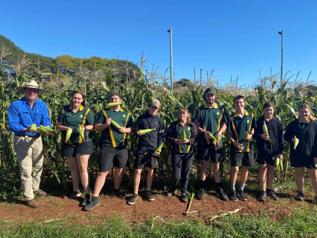 Isis High School's corn pops out Childers IGA doors – Bundaberg Now
