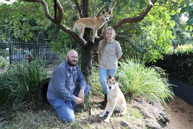 Alexandra Park Zoo has reopened – Bundaberg Now