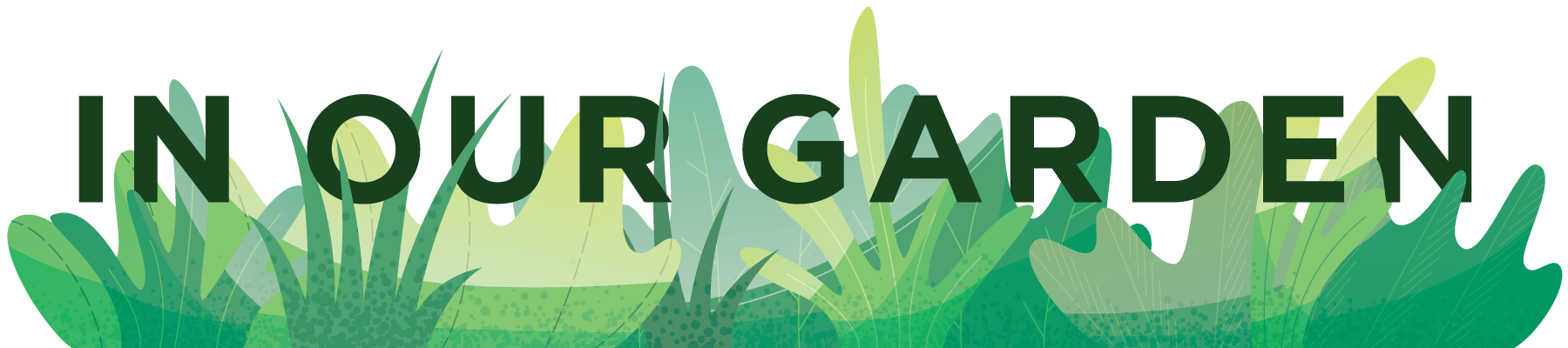 In our Garden: A friend you can visit any time – Bundaberg Now