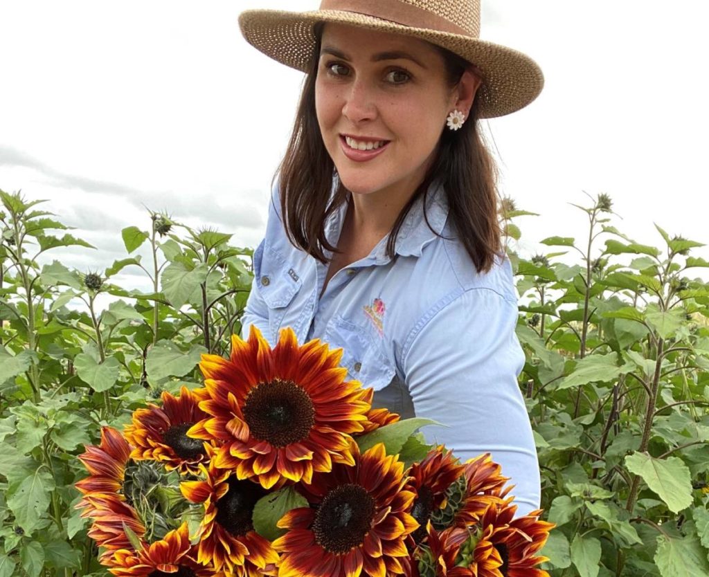 Ruby Passion Sunflowers blossom in Bundy climate – Bundaberg Now