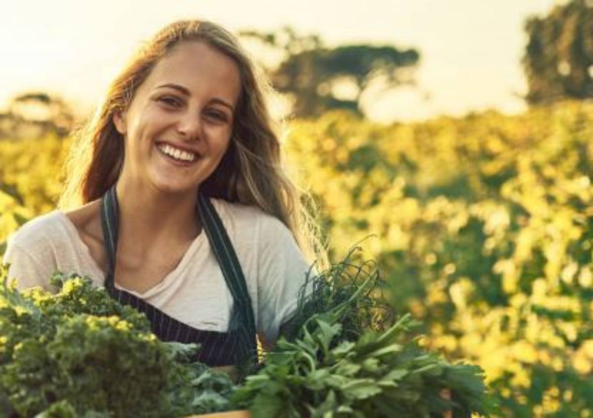 Women in Horticulture invited on virtual bus tour – Bundaberg Now