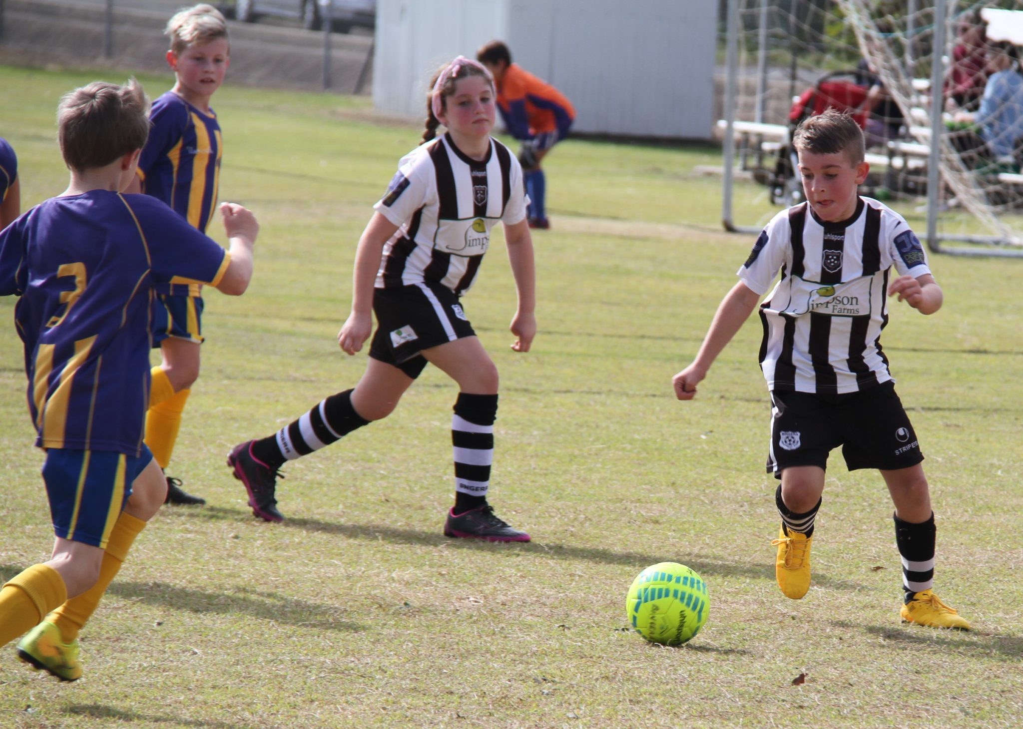Bundaberg Now weekend sports report – Bundaberg Now