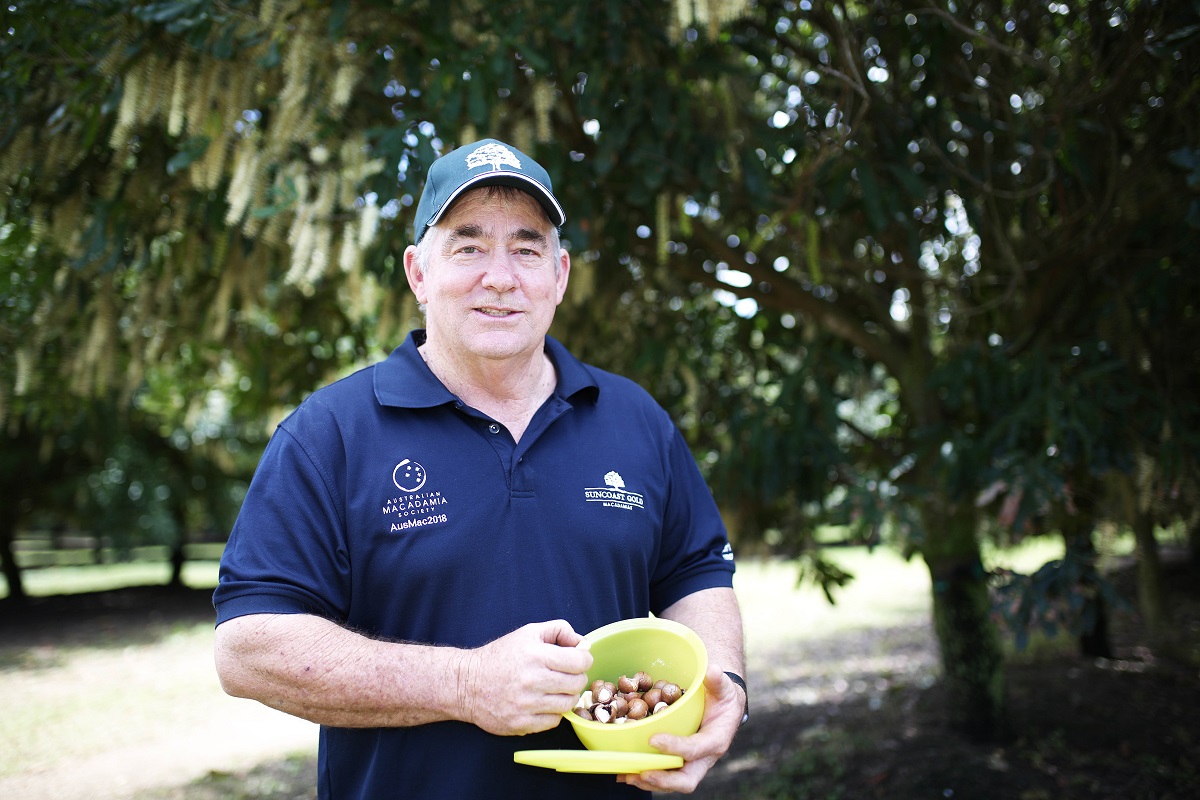 Macadamia growers celebrate bumper season – Bundaberg Now