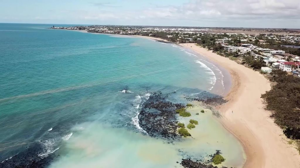 Distressed fish saved from algal bloom – Bundaberg Now
