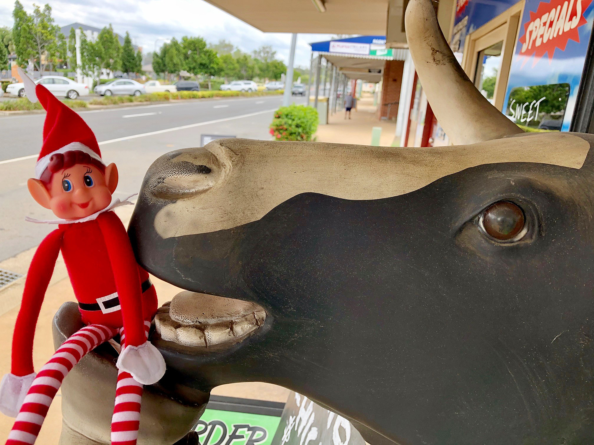 Snap a Selfie with Elfie to win a $50 voucher – Bundaberg Now