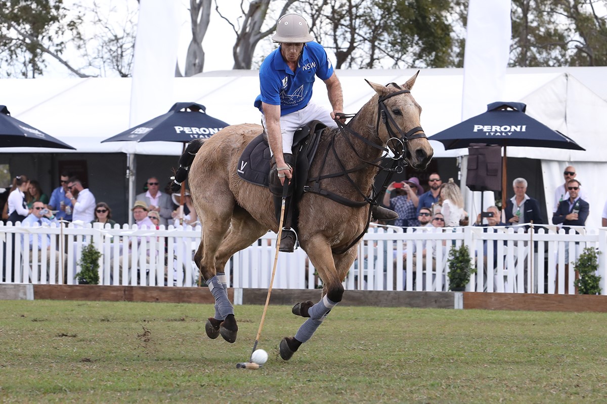 Pop-up Polo returns to Bundaberg in 2021 – Bundaberg Now