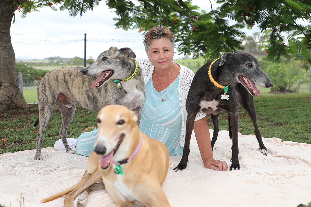 Ex-racing greyhounds lapping up Gin Gin life – Bundaberg Now