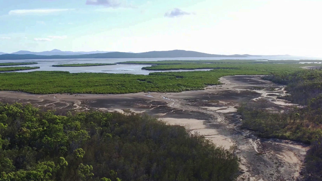 BMRG announces Youth Advisory Group Membership – Bundaberg Now