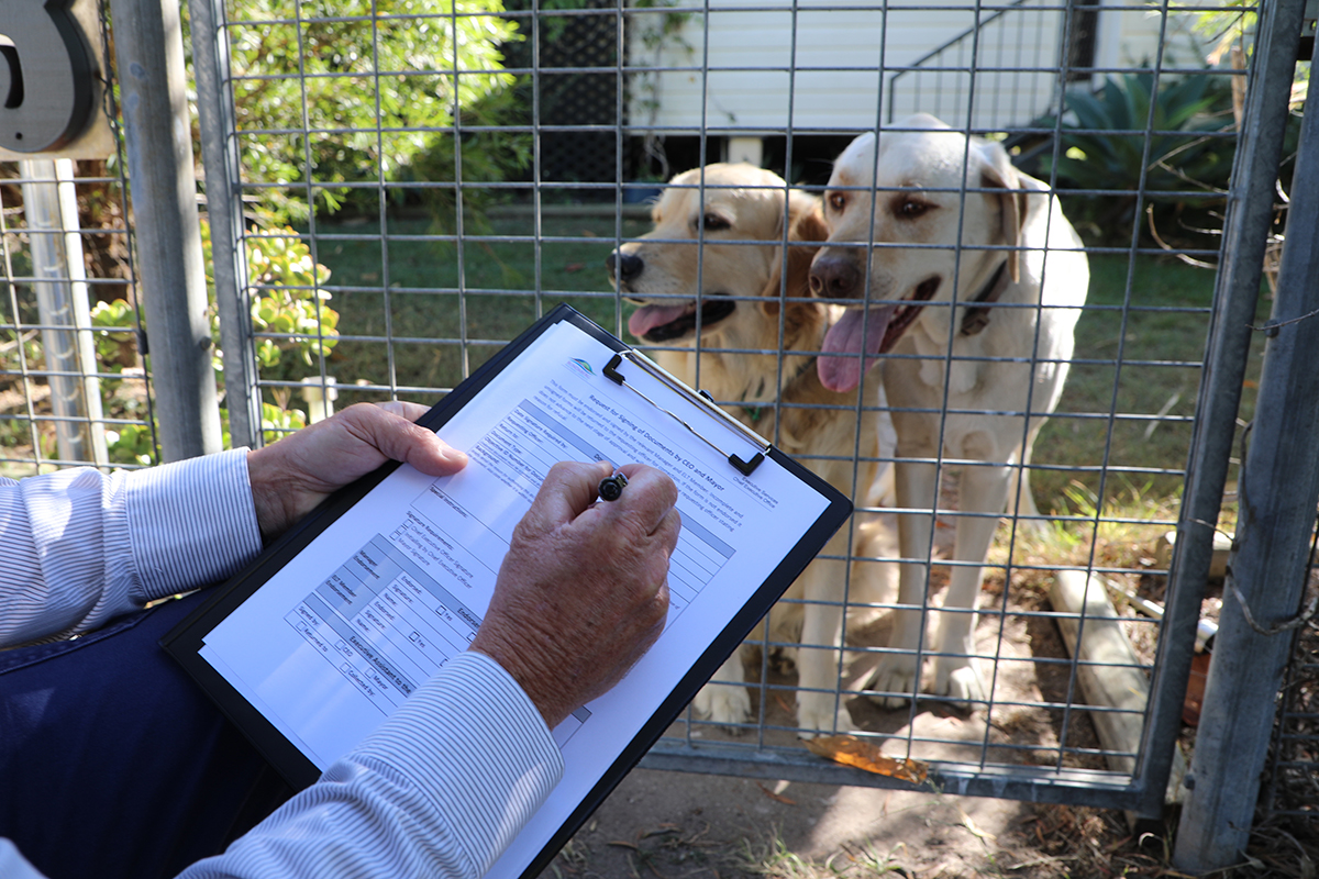 How to: register your dog – Bundaberg Now