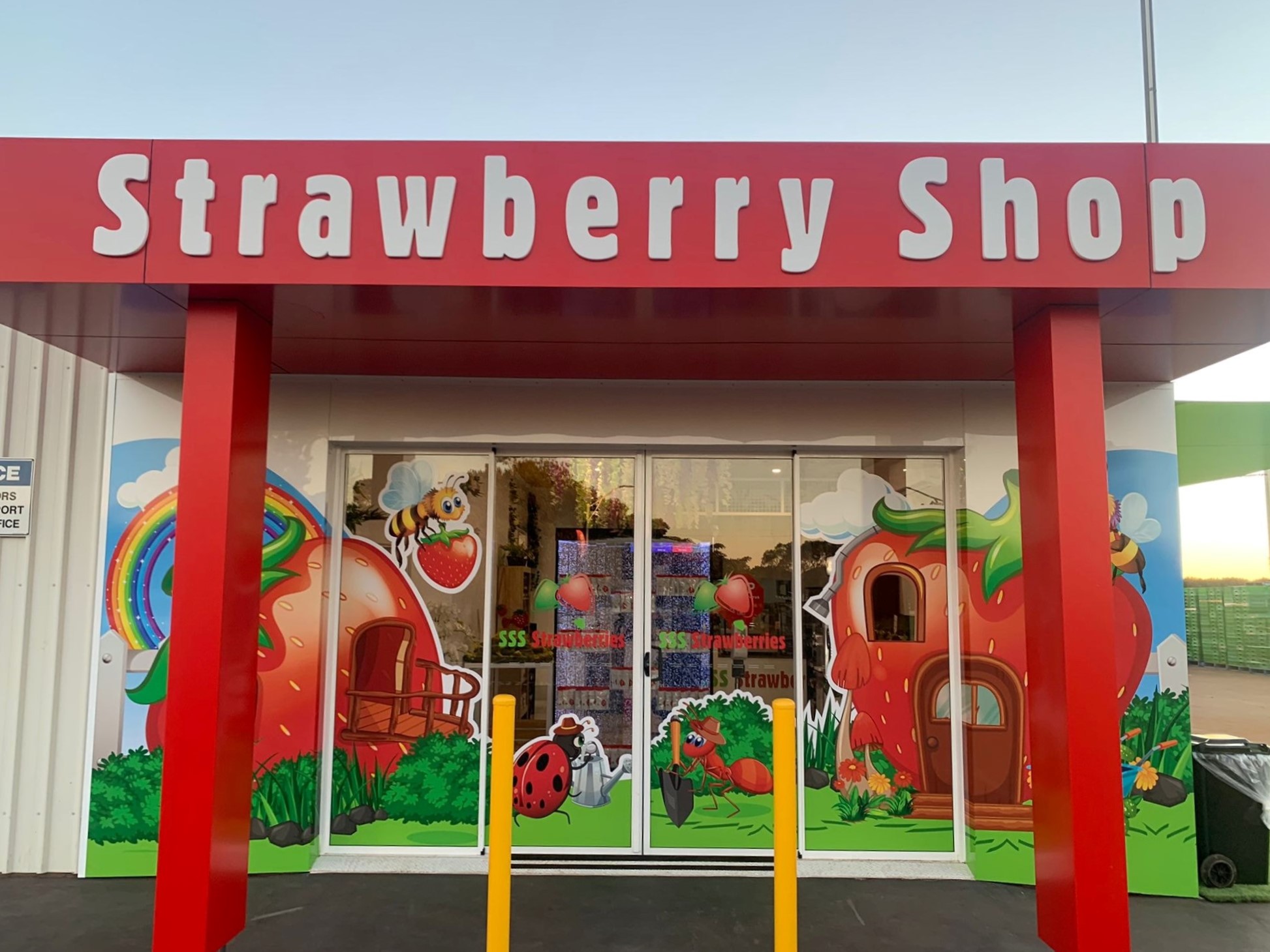 Fresh new look for SSS Strawberries – Bundaberg Now