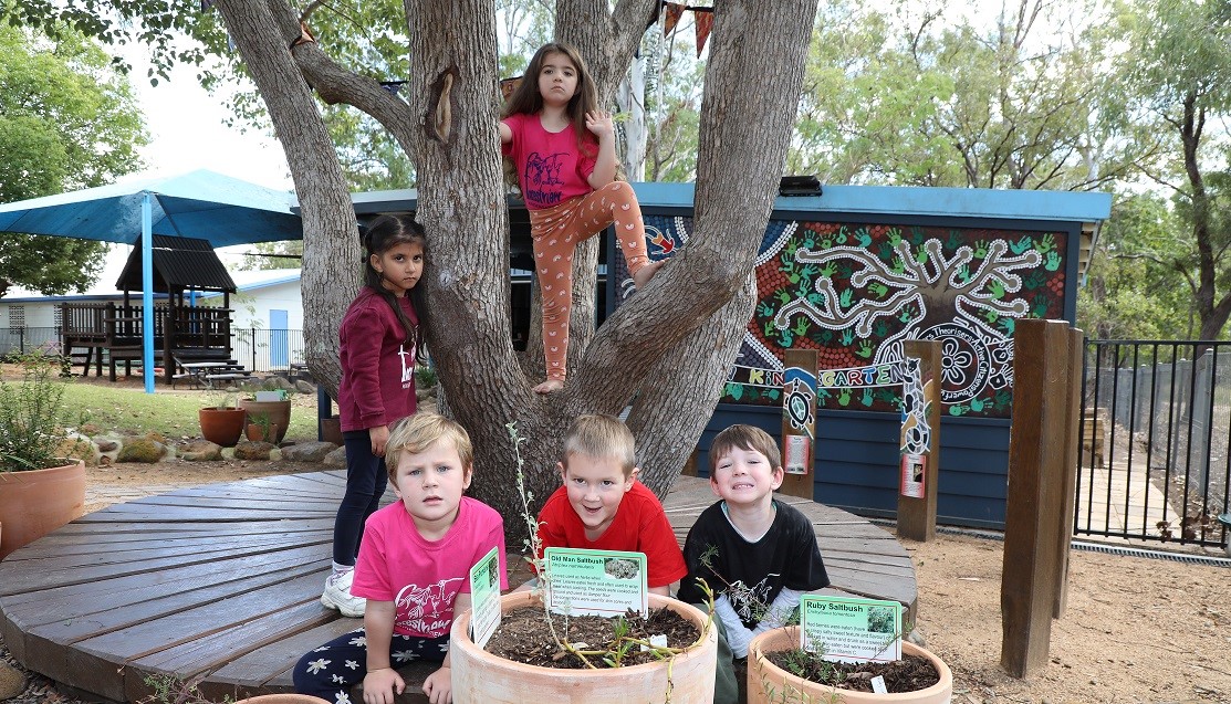 Forestview Kindergarten opens bush tucker garden – Bundaberg Now