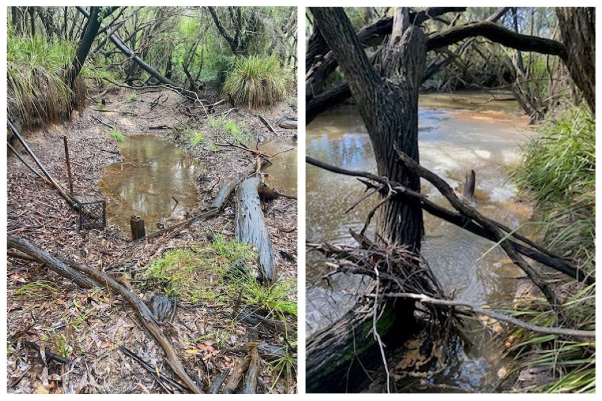 Apple Tree Creek flows again after unusual July rain – Bundaberg Now
