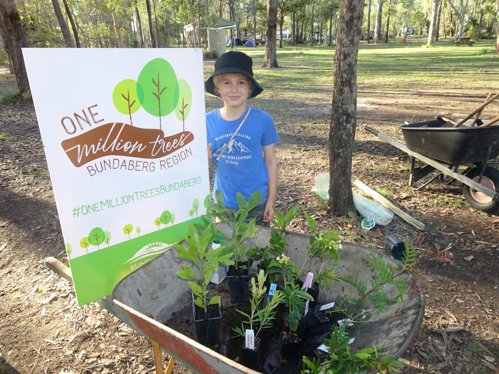 Council's One Million Trees project awarded – Bundaberg Now