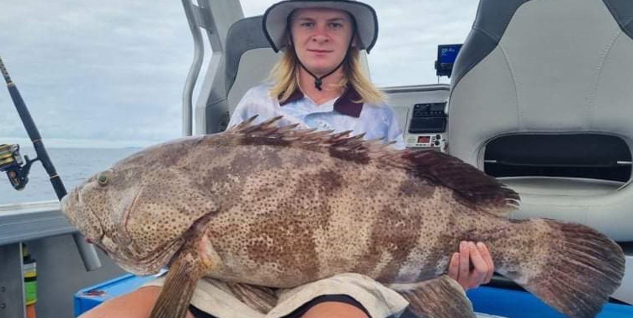 Monster cod caught off Burnett Heads – Bundaberg Now