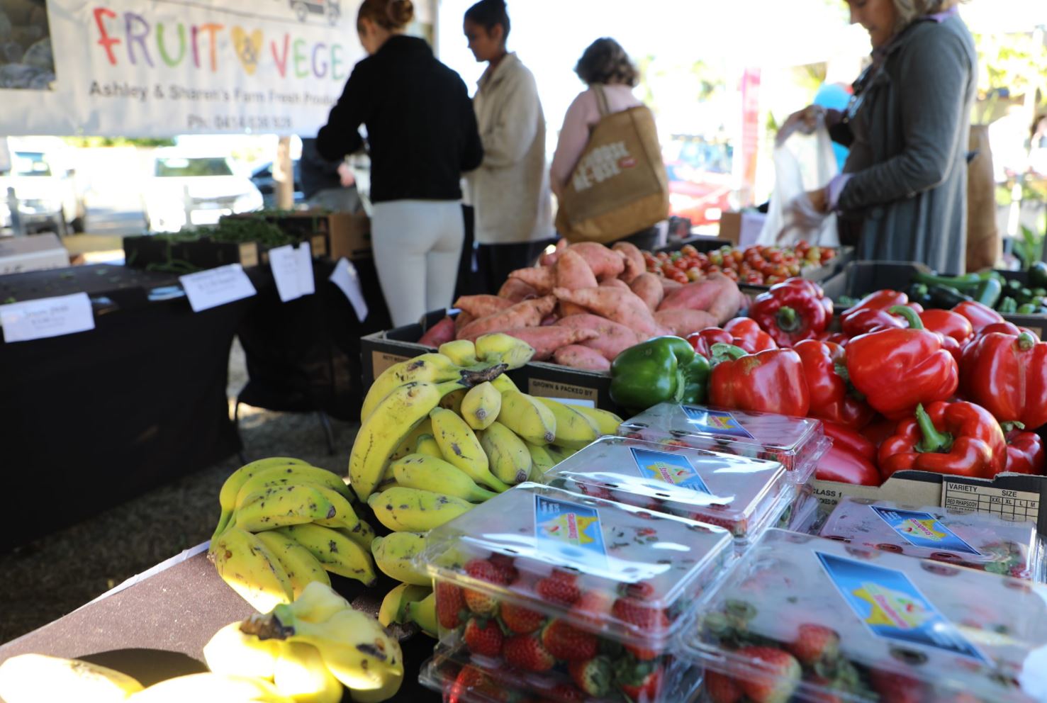 Taste Farmers Market showcases food bowl – Bundaberg Now