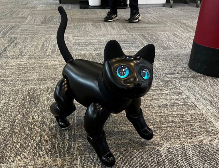 MarsCat joins the Bundaberg Library team – Bundaberg Now