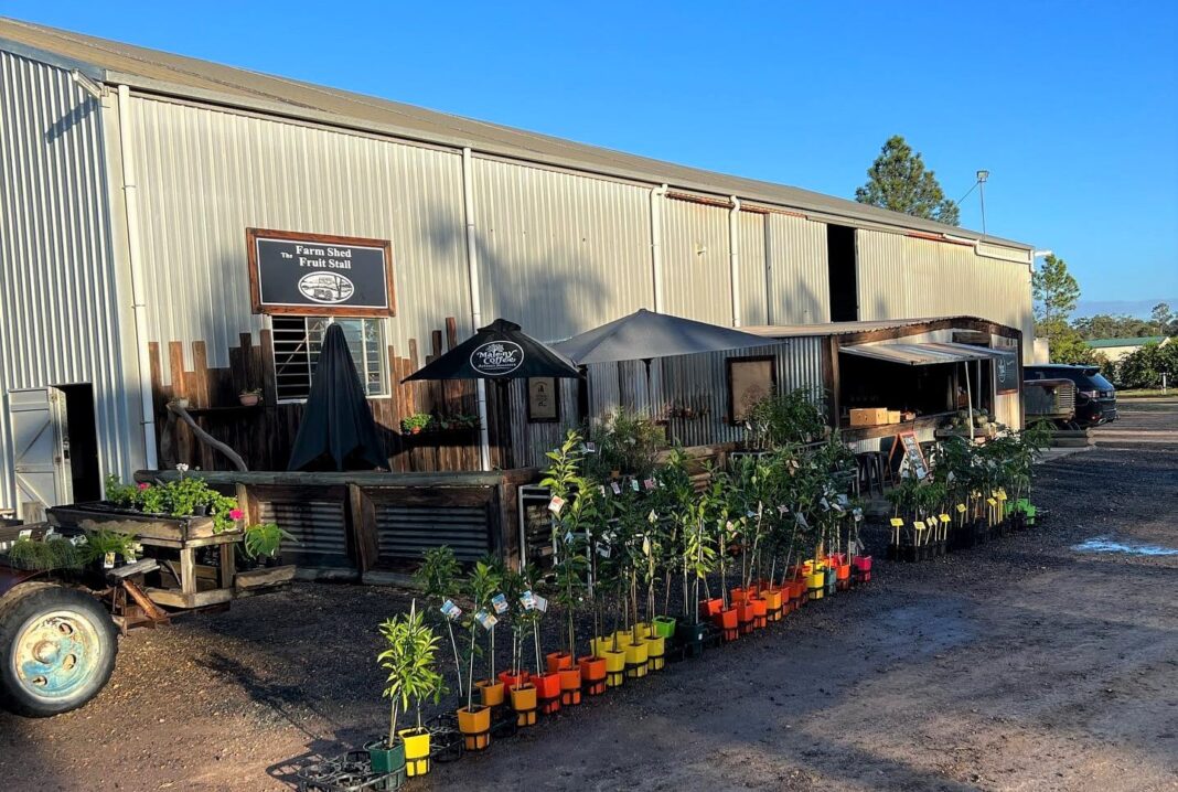 Farm Shed Fruit Stall Childers adds coffee – Bundaberg Now
