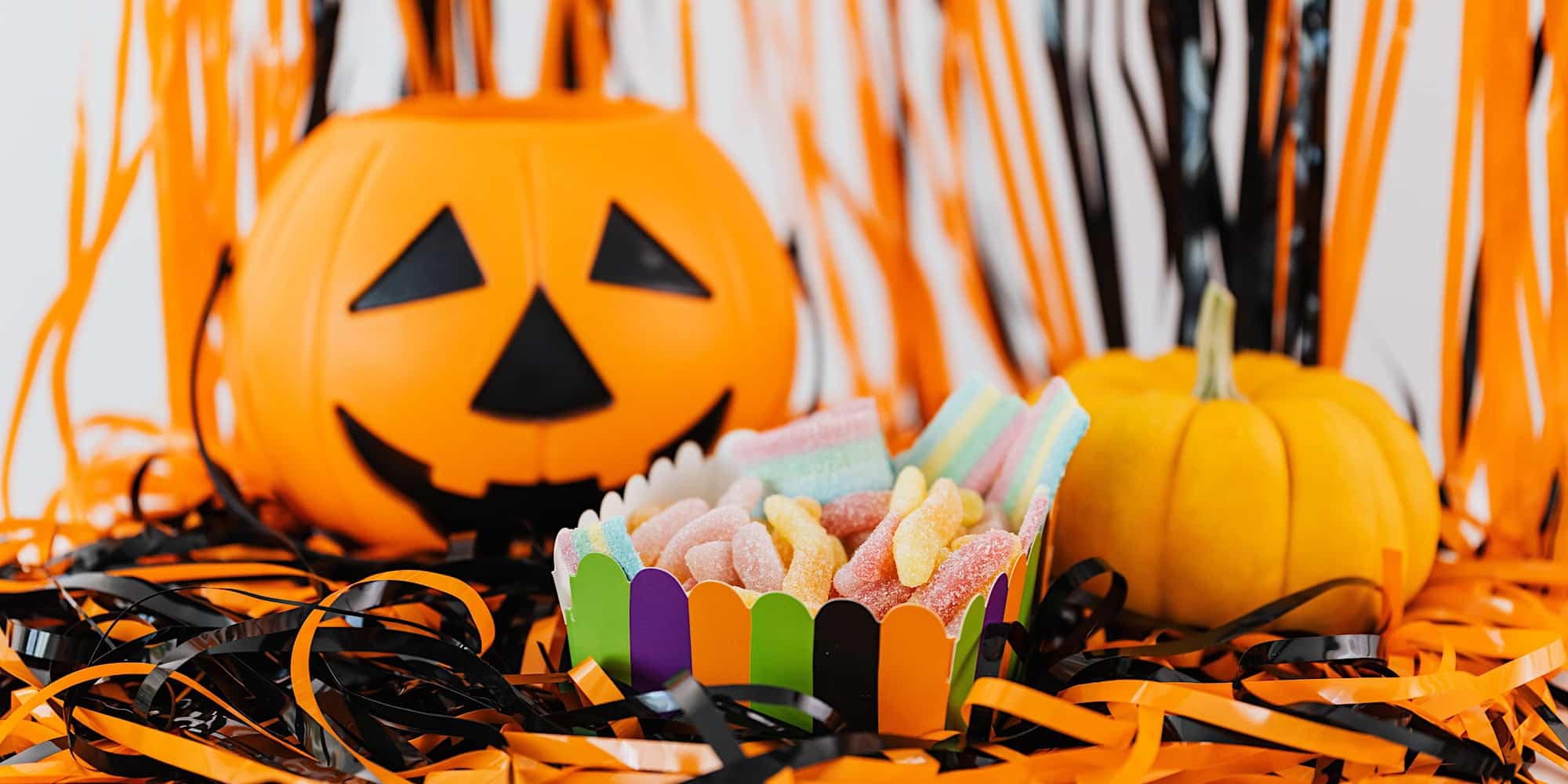 Got you covered: Halloween activity – Bundaberg Now