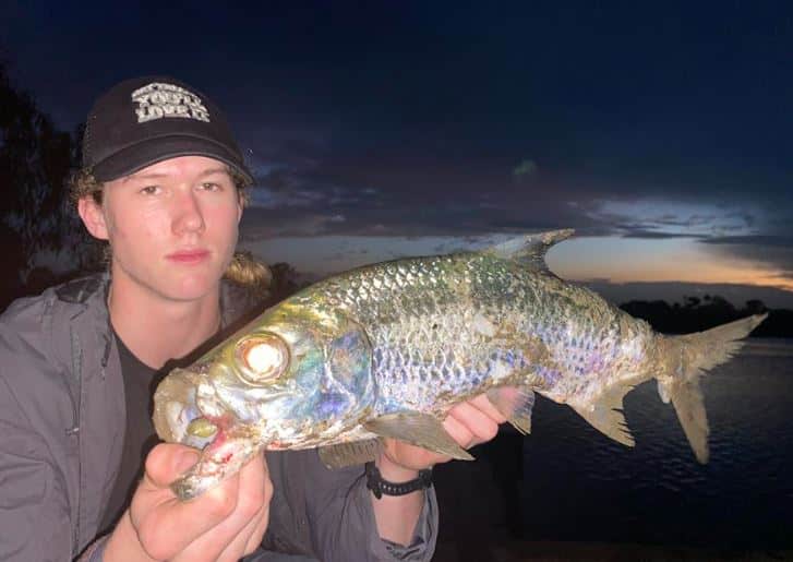 Plenty of great fish being caught in the region – Bundaberg Now