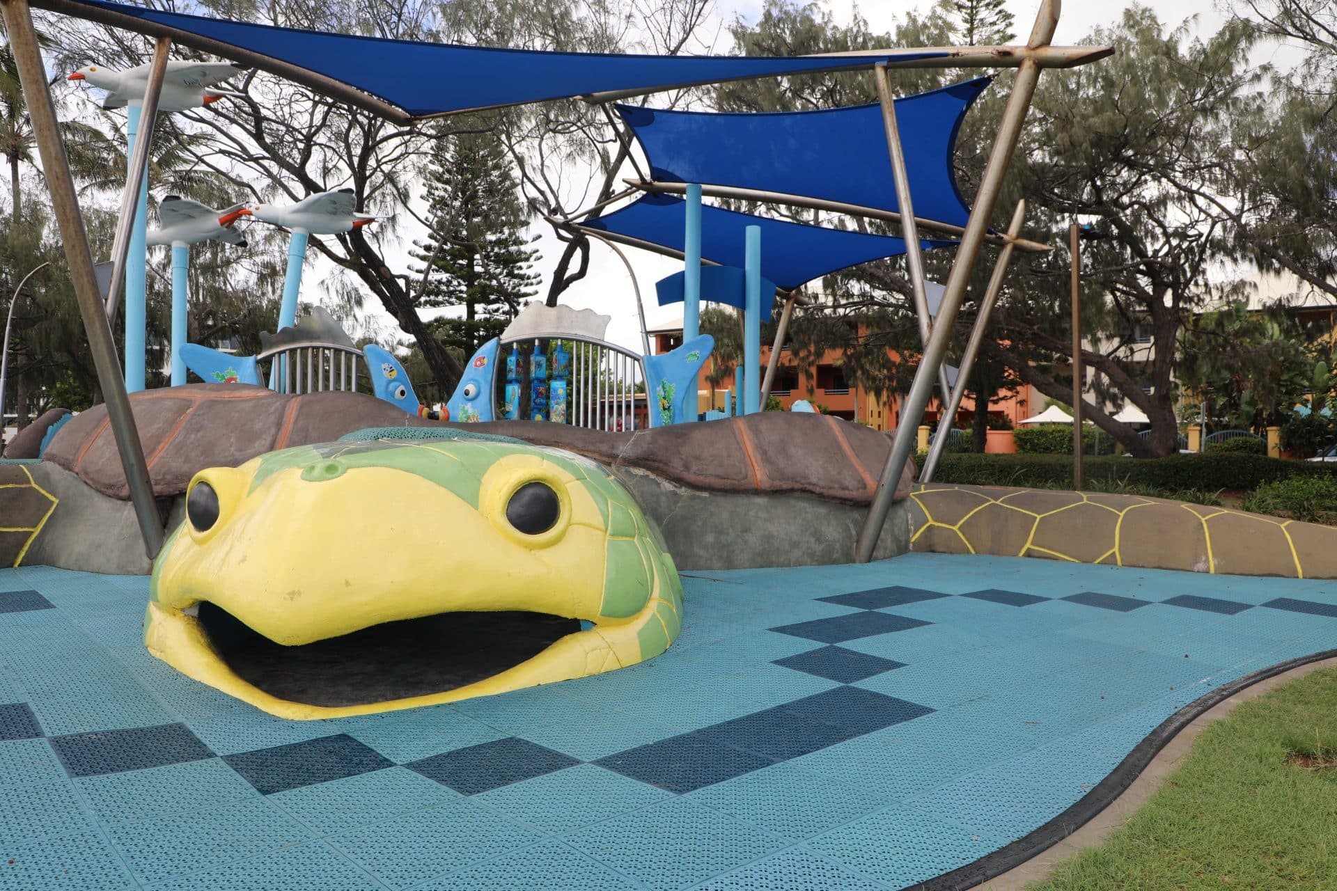 Turtle playground reopens with new surface – Bundaberg Now