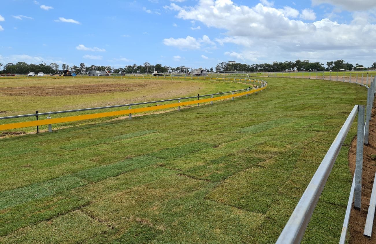 $1.4M project gets greyhound racing on track – Bundaberg Now