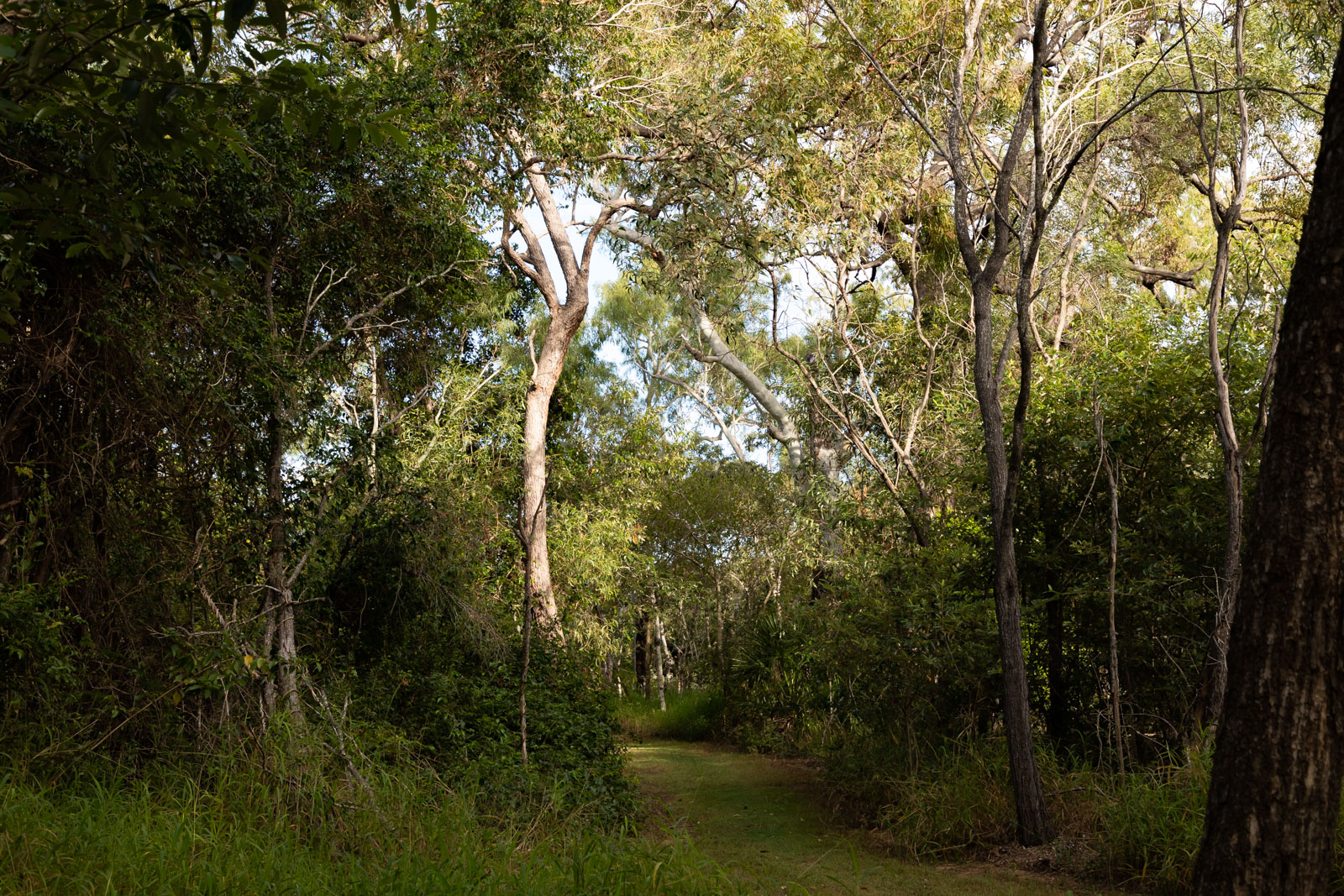 Explore our region: Riverview Environmental Reserve – BRC Now | the ...