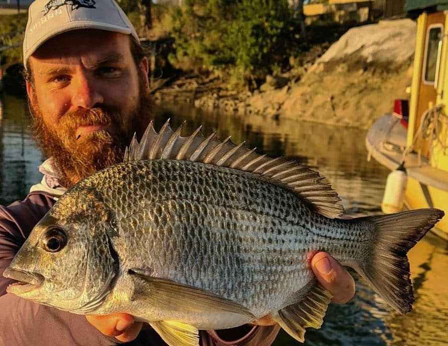 Fishing: what's being snagged around the region – Bundaberg Now