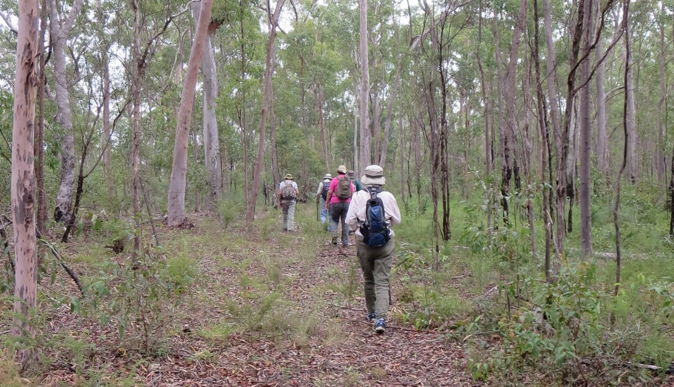 In Our Group with Bundaberg Bushwalking Club – BRC Now | the latest ...