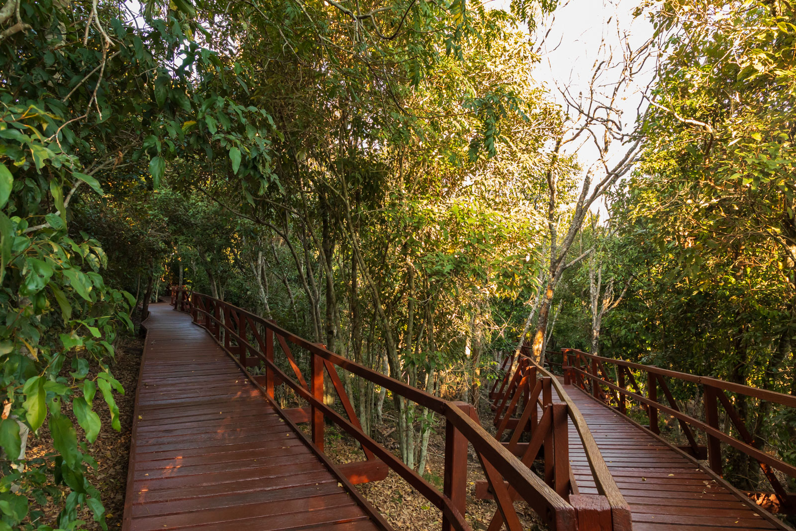 Explore our region: Hummock Reserve – BRC Now | the latest from your ...