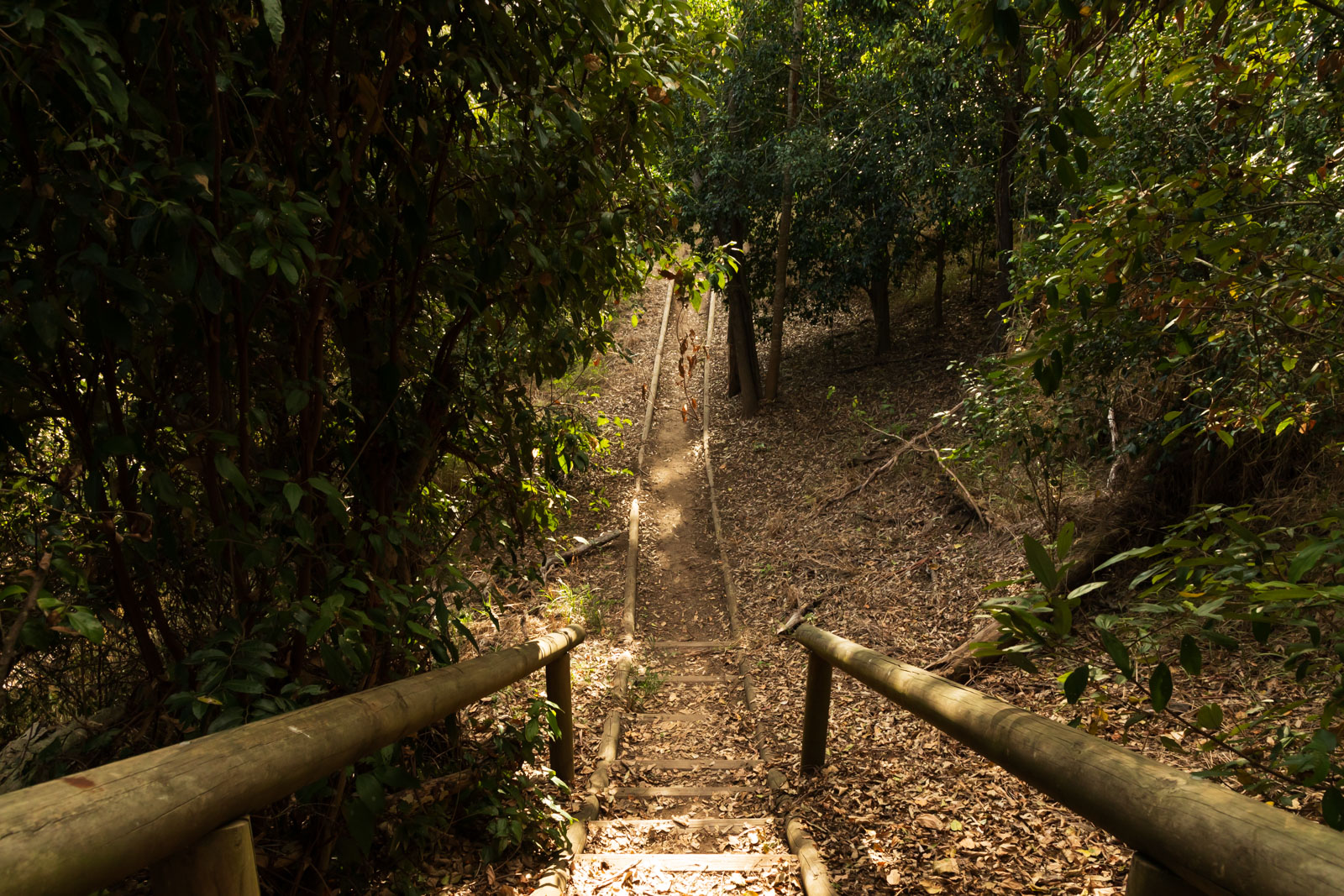 Explore our region: Sharon Gorge Nature Park – BRC Now | the latest ...