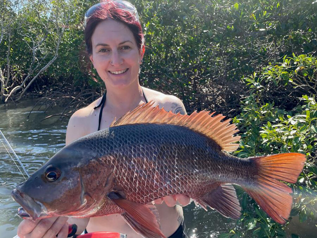 Fishing report: cracking inshore fishing – Bundaberg Now