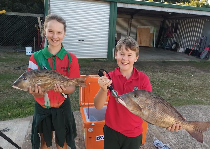 Fishing report: Sweetlip are starting to fire up – Bundaberg Now