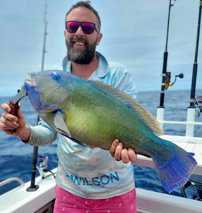 Lots of bait fish along our coast – Bundaberg Now