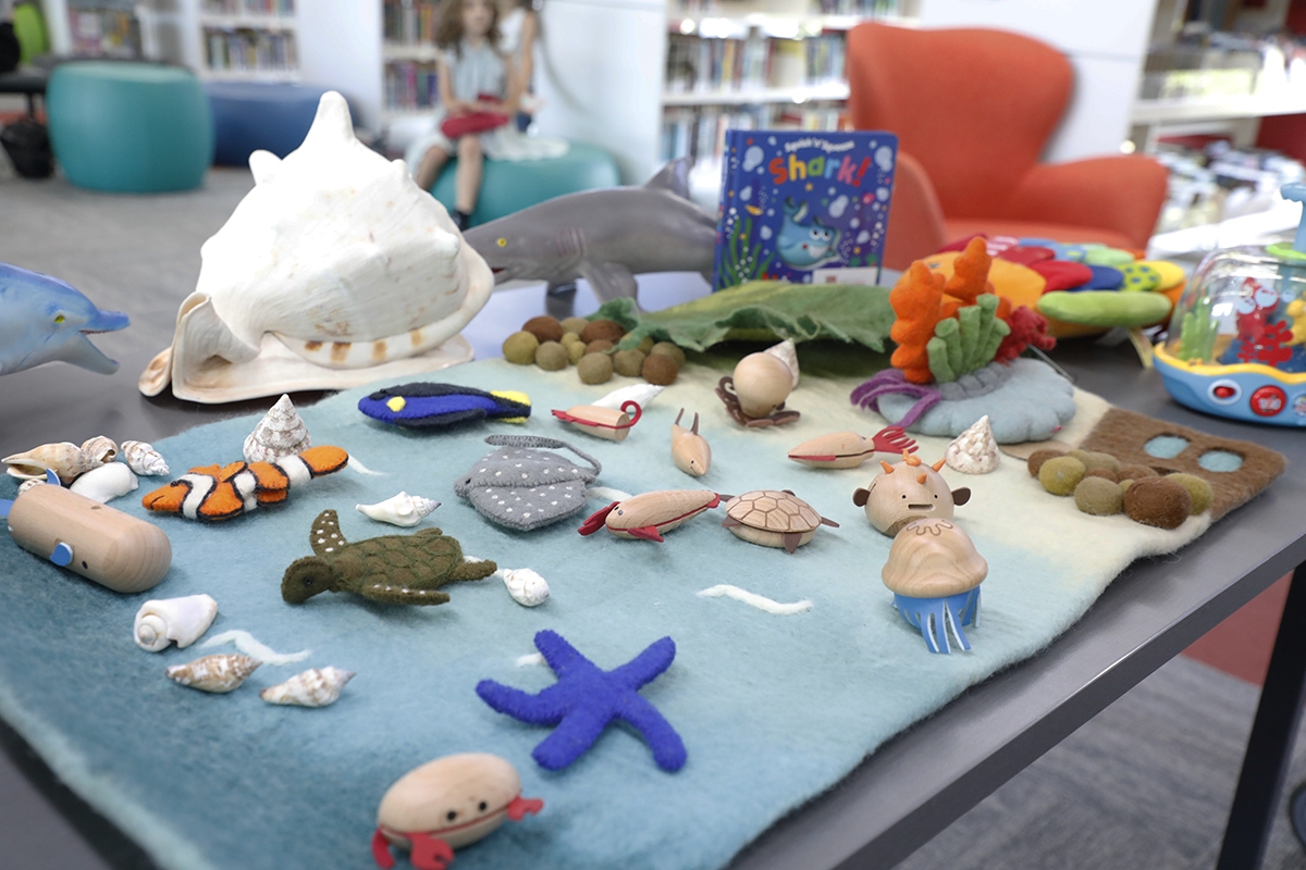 Experience the Ocean Interactive Space – Bundaberg Now