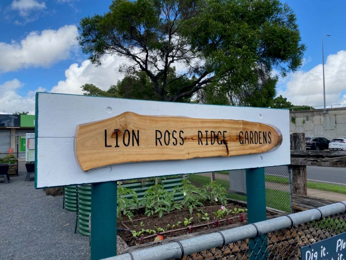Lions Gardens renamed in honour of Ross Ridge – Bundaberg Now
