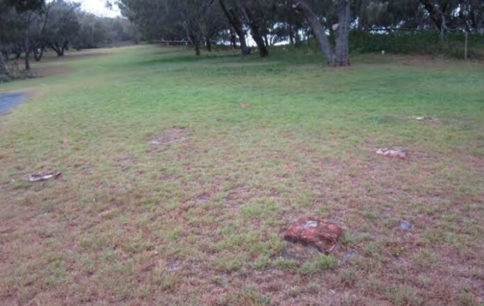 History of Mon Repos cable station – Bundaberg Now